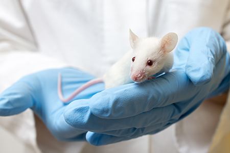 GEMs Management Scientific Consultation