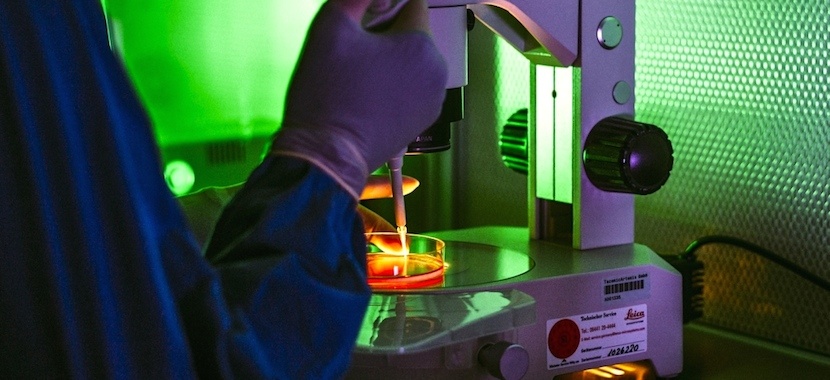 The Taconic-Cyagen Model Generation Alliance